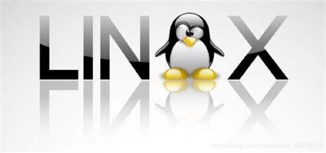 史上最全的linux常用命令汇总（超全面！超详细！）收藏这一篇就够了！ linux命令汇总 csdn博客