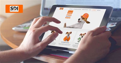 SDI Застрахователен брокер - всички видове застраховки