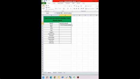 excel accountingsoftware tutorial highlights viralvideo tricks