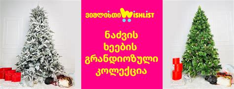 ნაძვის ხე როგორია შენი საოცნებო ნაძვი Bpn