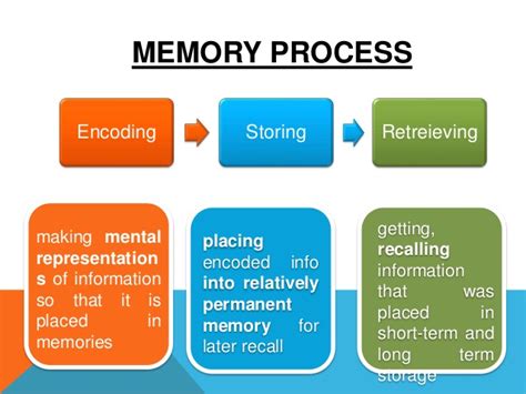 Mds Interim Assesment Memorylearning And Ampimproving Concentration