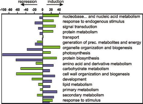 Functional Categories Distribution Before And After Véraison Induced