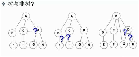 数据结构入门指南：二叉树 二叉树怎么定义变量 csdn博客