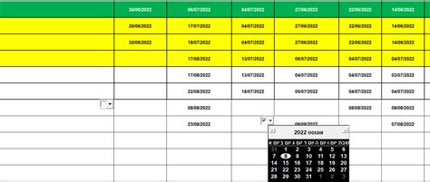 Duplicate Display Of Check Box Vba Excel Stack Overflow