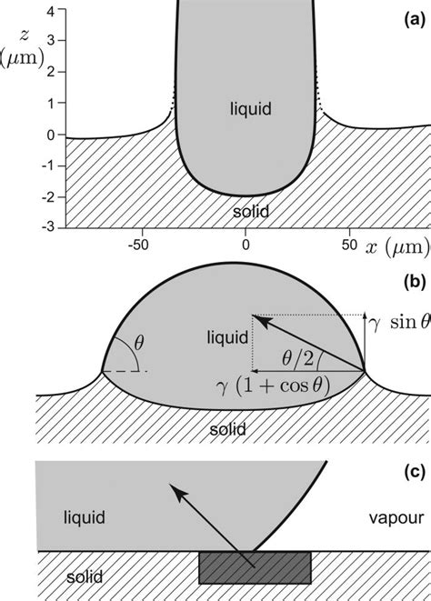 A Shape Of An Ionic Liquid Drop On A Soft Pdms Surface Determined Download Scientific