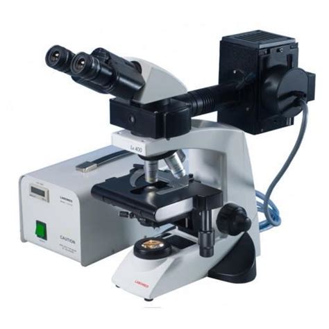 Fluorescence Microscopes Microscope Central