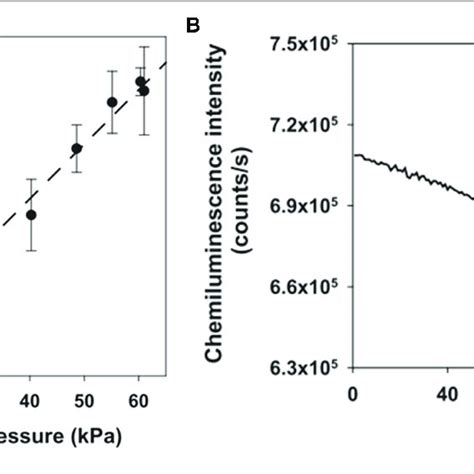 Schematic Design Of Ultrasound Enhanced Chemiluminescence Dash Arrow