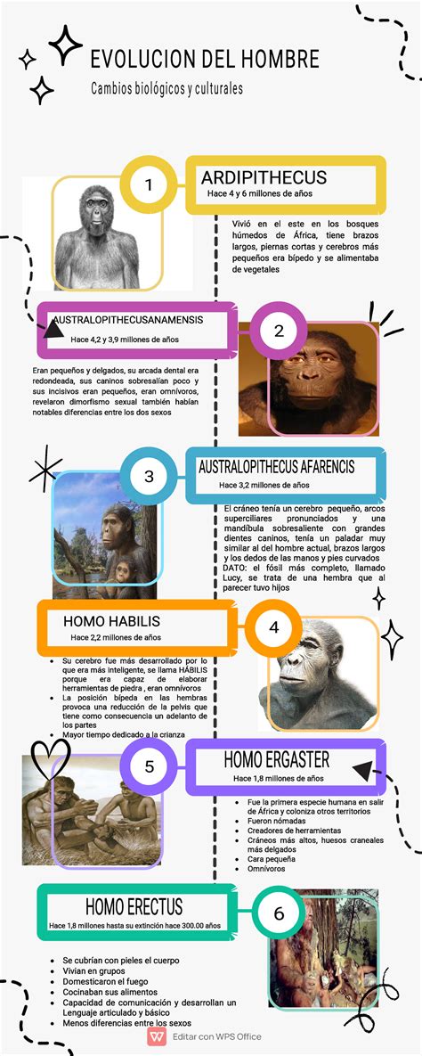 Línea De Tiempo Evolución Del Hombre Evoluciondelhombre