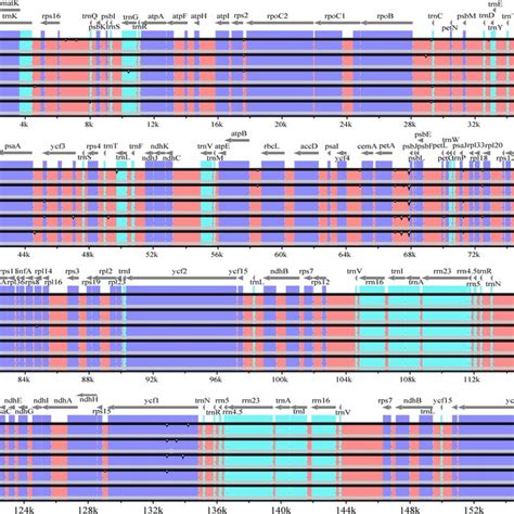 Sequence Alignment Of The Cpgs Of Six Subgenus Gynopodium Species The