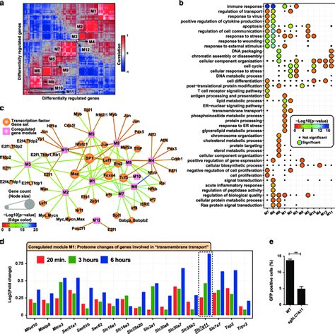 Gene Co Regulation Analysis A Heatmap Of Gene Gene Correlation