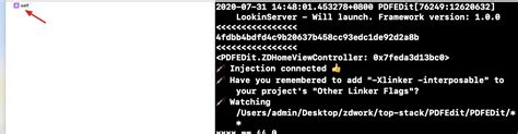 opens the injection 💉 swift often cannot print log · issue 248