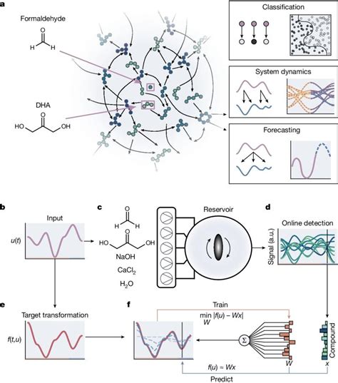 How A Chemical Reaction Network Can Transform Inputs Into Outputs Pei I Wang Phd Posted On