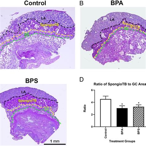 Degs In Bpa Or Bps Vs Control Placenta Download Scientific Diagram