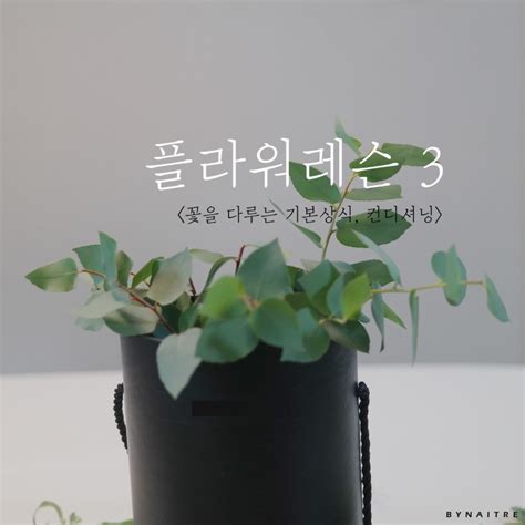 플라워레슨 꽃을 다루는 기본상식 꽃 컨디셔닝 바이네뜨르bynaitre 네이버 블로그