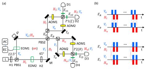 Macroscopic Quantum Correlation A Schematic Of Macroscopic Quantum