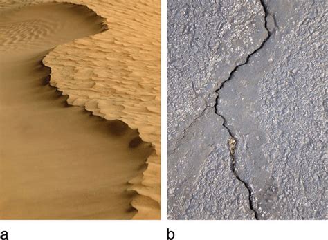 Shape Extraction And Figure Ground Segmentation Even When Relative