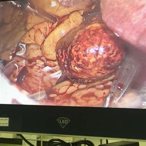 گالری تصاویر دکتر کیوان آقامحمدپور