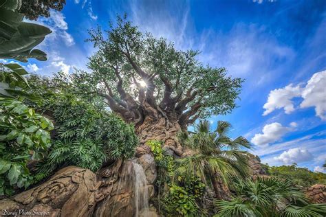 Disney Carved Tree