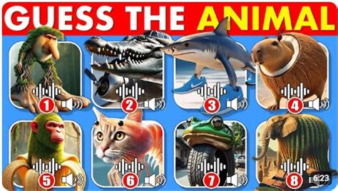 이탈리안 브레인 롯 종류 이름 밈 6가지 특징 총정리 Ifhb