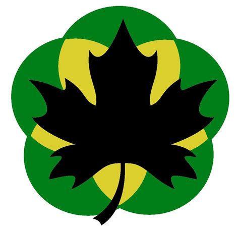 Kim Larae Bailey Paralegal And Immigration Services Toronto On