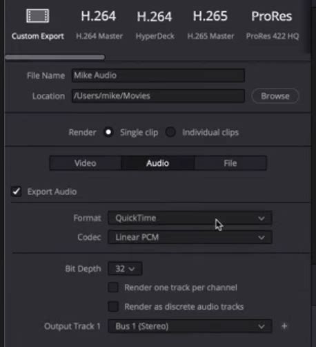 How To Use DaVinci Resolve To Record Audio