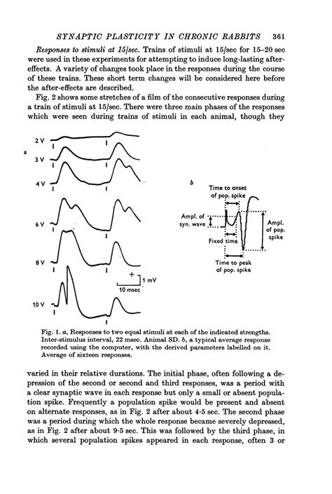 Long Lasting Potentiation Of Synaptic Transmission In The Dentate Area