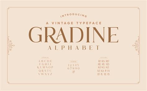 Premium Vector Vintage Classic Alphabet Font Typography Creative