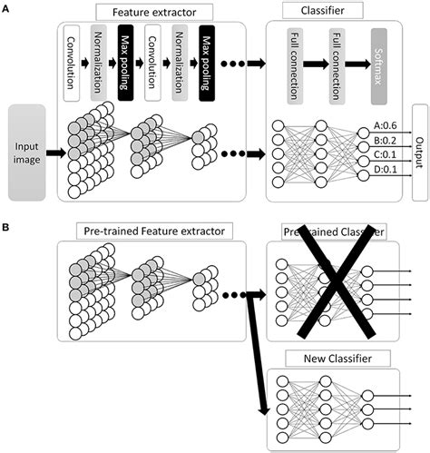 Frontiers The Possibility Of Deep Learning Based Computer Aided Skin