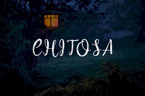 Coreldraw X3 Portable Free Download