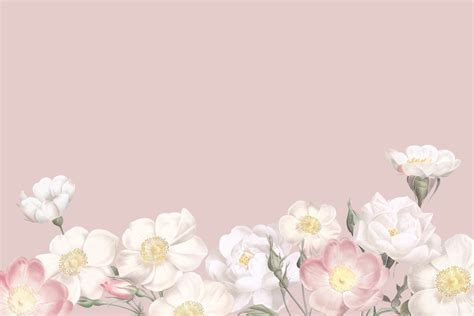 빈 우아한 꽃 프레임 디자인 무료 사진