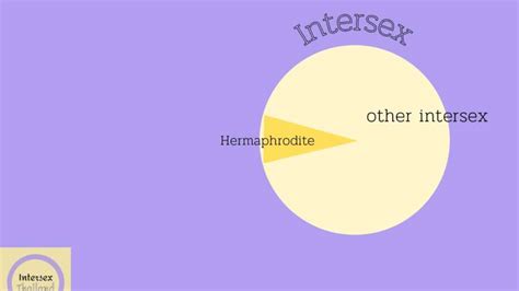 Recap วงน้ำชา “อัตลักษณ์ทางเพศ กับการถูกกีดกันในสังคมไทย” Intersex Thailand อินเตอร์เซ็กส์