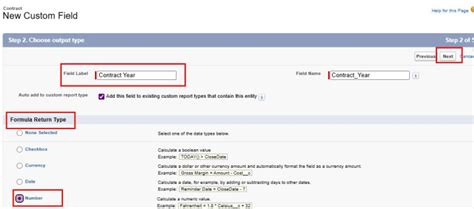 Extract Year From Date Using Year Function In Salesforce