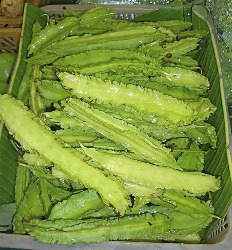 Psophocarpus Tetragonolobus 5 Seeds Vegetable Winged Bean Nitrogen