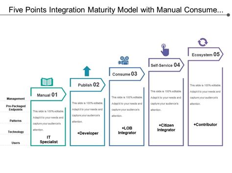 Five Points Integration Maturity Model With Manual Consume And