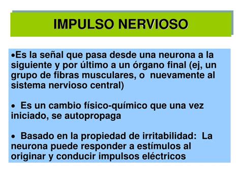Ppt Impulso Nervioso Powerpoint Presentation Free Download Id4386460