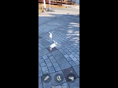 augmented reality ar arkit arcore app made in unity upwork
