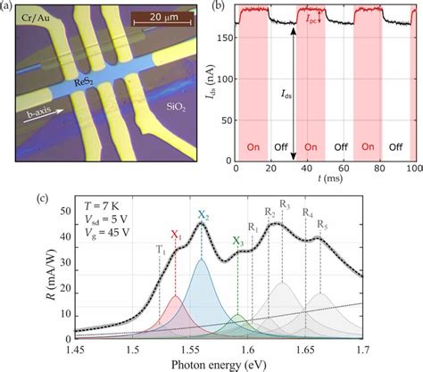 Optoelectronic Response Of The Device A Optical Microscopy Image Of Download Scientific
