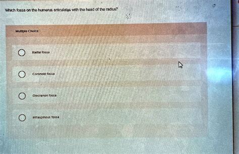 Which Fossa On The Humerus Articulates With The Head Of The Radius
