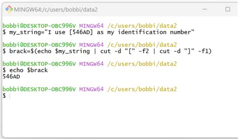 Bash How To Extract String From Brackets Collecting Wisdom