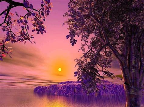 Гайхамшигтай уран зурагнууд