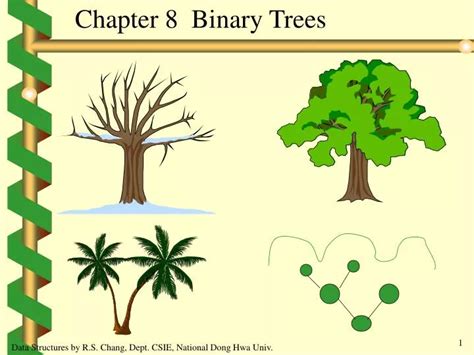 PPT Chapter Binary Trees PowerPoint Presentation Free Download ID