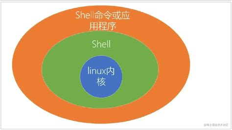 Shell脚本变量的只读 删除 类型及注释语法基础因特网 Shell脚本变量的只读 删除 类型及注释语法基础因特网