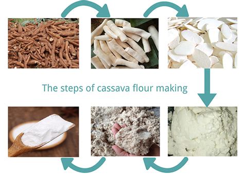 What Are The Steps Of Cassava Flour Processing Linefaq