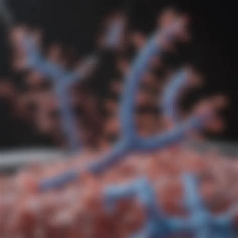 Antigen Vs Antibody Key Differences Explained