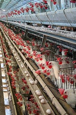 Food Industry Wikipedia