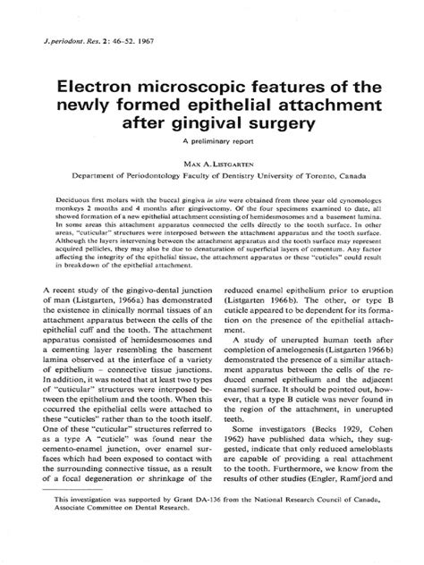 Electron Microscopic Features Of The Pdf Epithelium Human Tooth