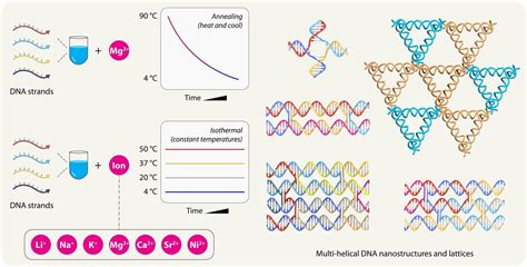 New Capabilities In Dna Nanostructure Self Assembly Eliminate Need For
