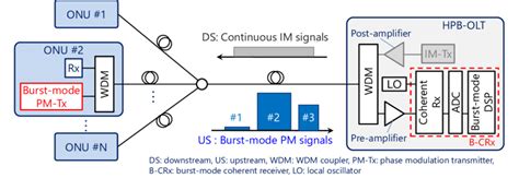 Schematic Of Dsp Based Optical Coherent Pon Download Scientific Diagram