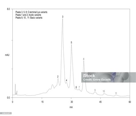 Chromatogram Of Mab Cterminal Lys Variants Acidic Variants Basic Variants Stock Illustration