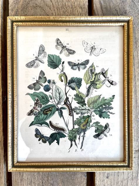 Beautiful Framed Lithograph C 1800s